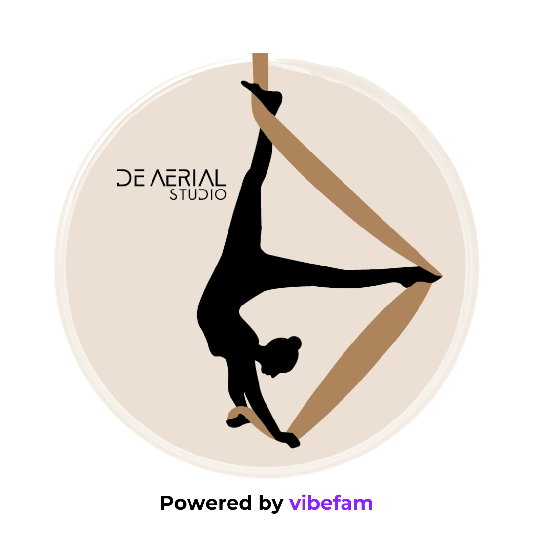 De Aerial Studio - vibefam